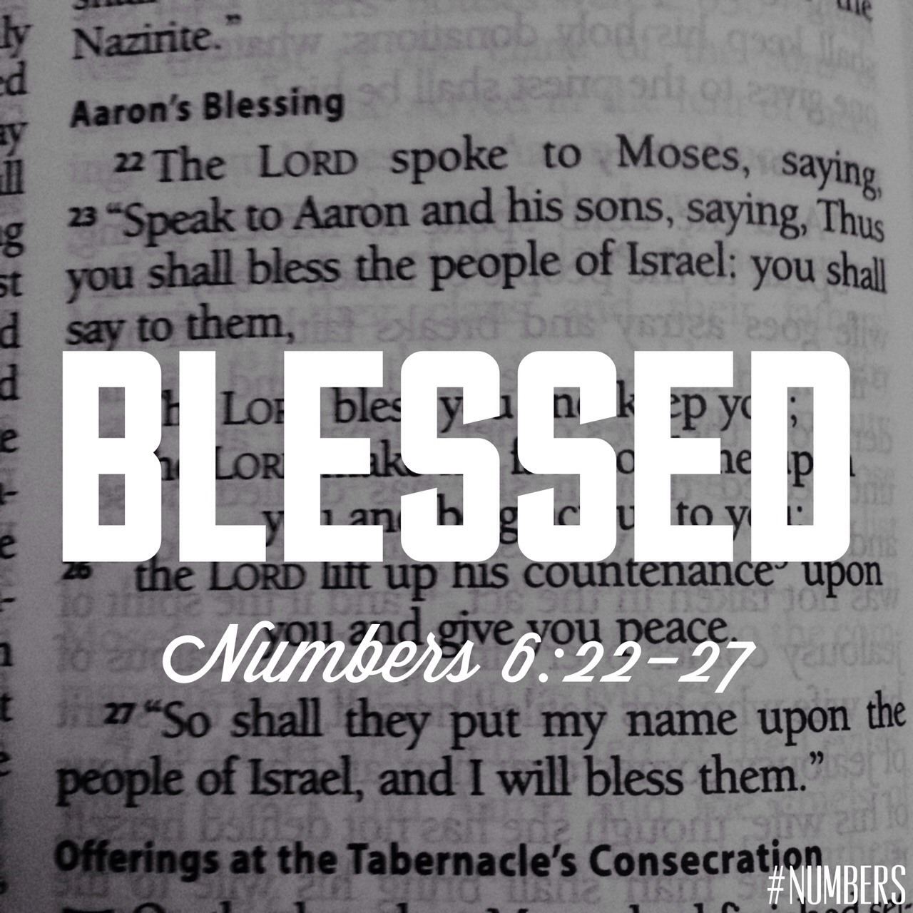 Blessed Ashland Blog